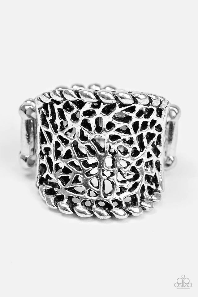 Paparazzi Ring ~ Mind Over SHATTER - Silver – Paparazzi Jewelry ...