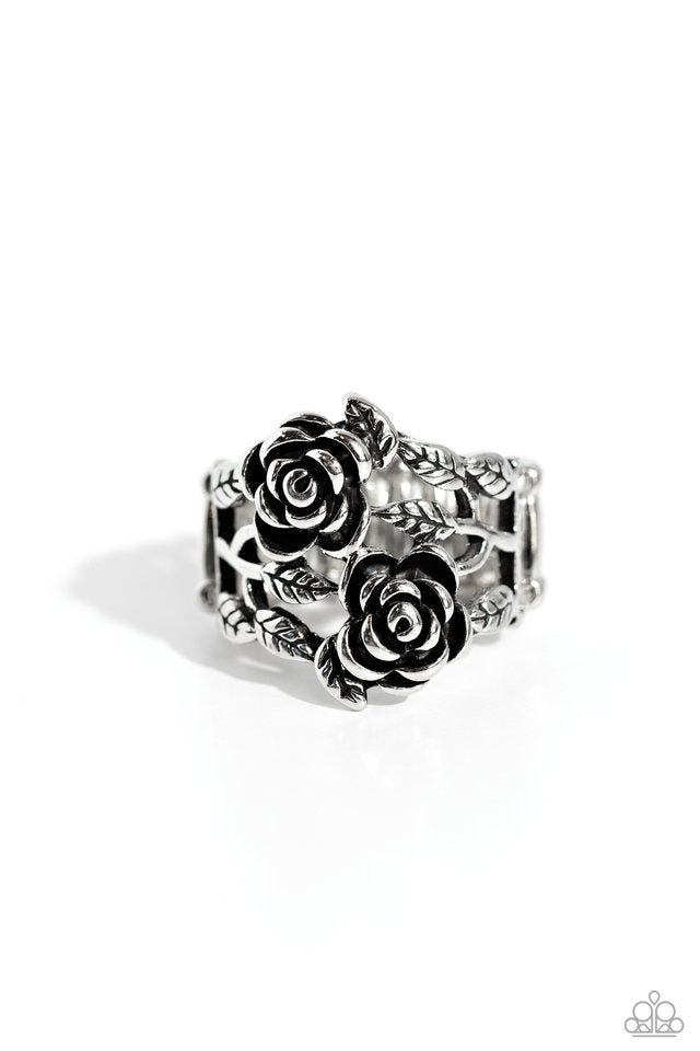 Paparazzi Ring ~ Anything ROSE - Silver – Paparazzi Jewelry | Online ...